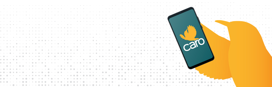 Caro Federal Credit Union – Smart Financial Solutions